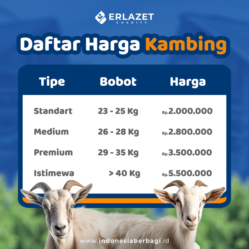 Harga Pasaran Kambing Kurban