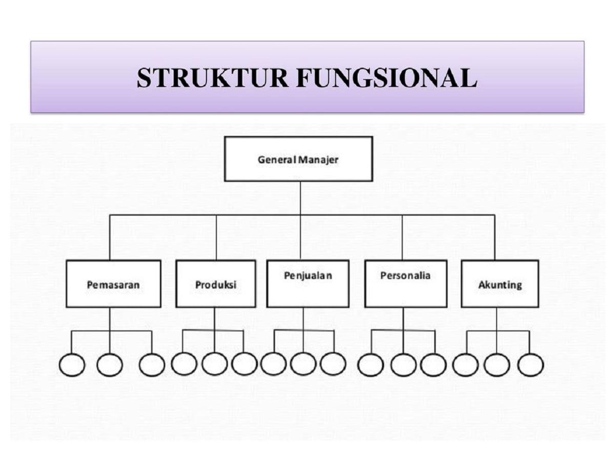 Carilah Struktur Organisasi Fungsional: Contoh dan Penerapannya dalam ...