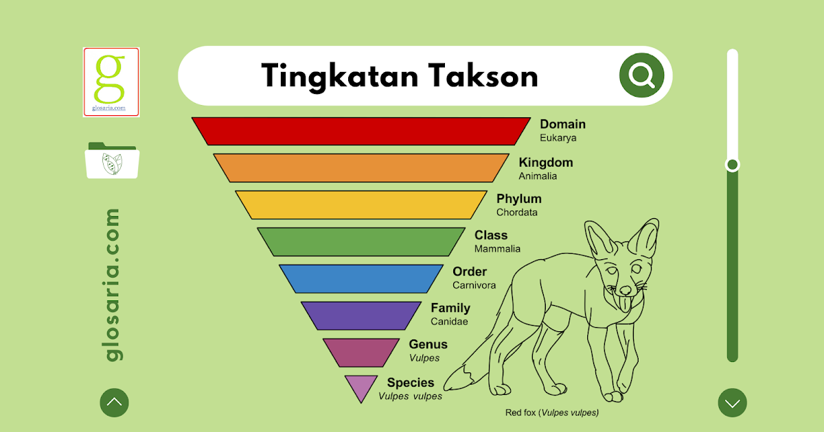 10 Jenis Tingkatan Takson Tumbuhan: Memahami Klasifikasi Flora