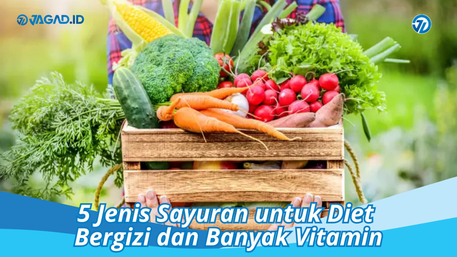 10 Jenis Sayuran Beserta Kandungan Gizi dan Manfaatnya: Pilihan Sehat ...