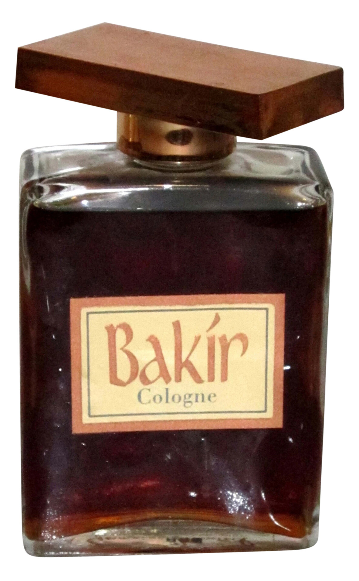 Arti Nama Bakir