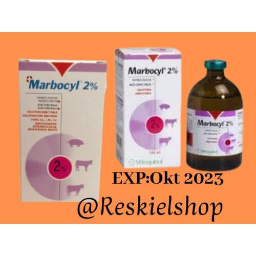 10 Macam Obat Antibiotik Golongan Fluoroquinolon dan Fungsinya