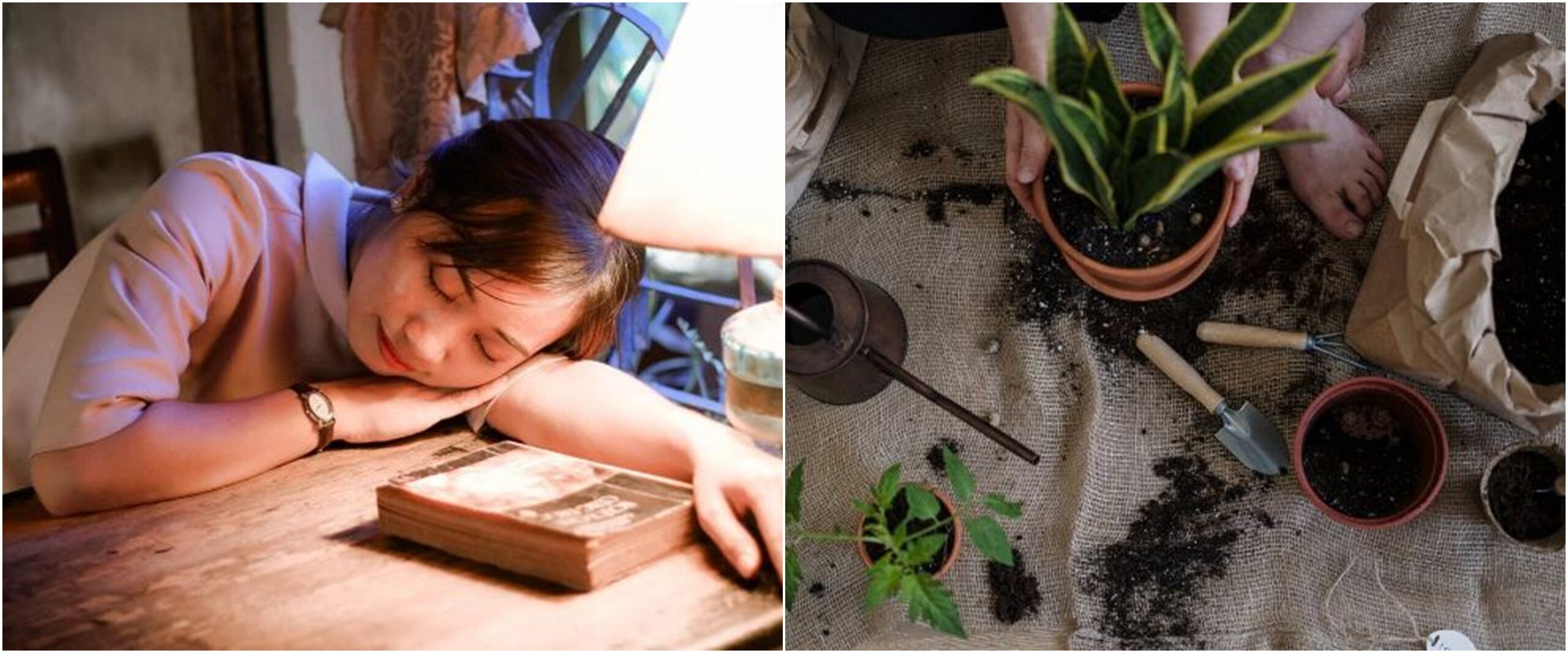 Arti Mimpi Menanam Bunga Menurut Islam