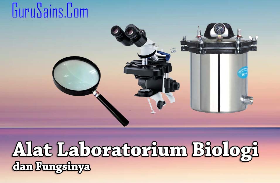 10 Macam Alat Biologi: Peralatan Penting untuk Eksperimen Ilmiah