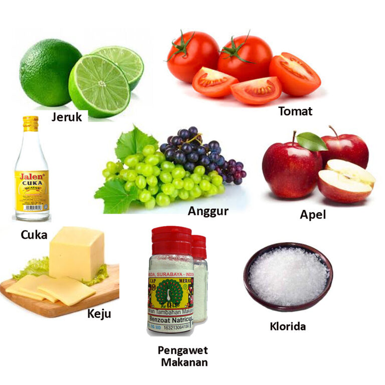 10 Jenis Asam dan Basa yang Sering Ditemui dalam Kehidupan Sehari-hari