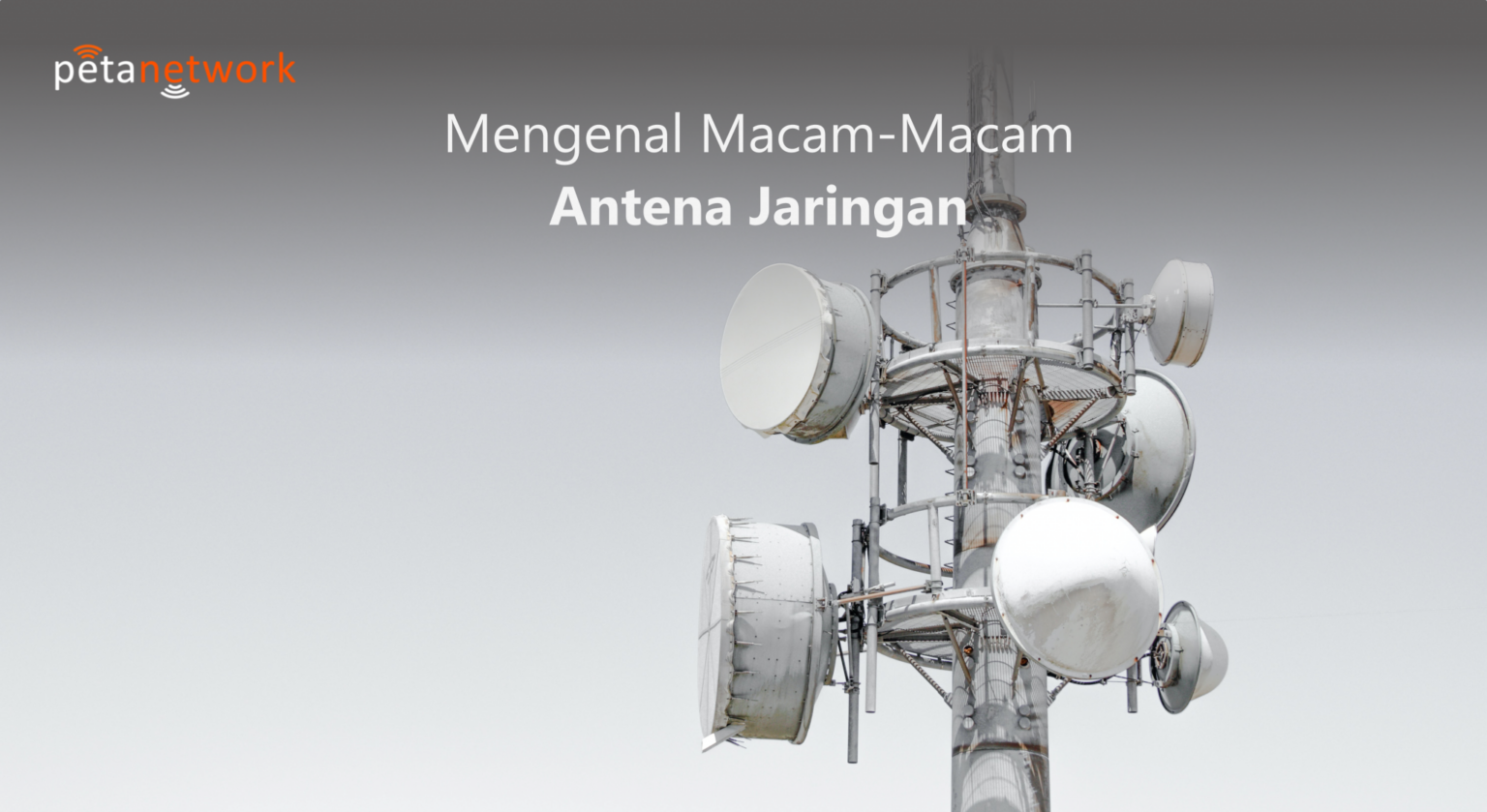 10 Jenis Konjungsi Antarkalimat dan Contoh Penggunaannya dalam Kalimat