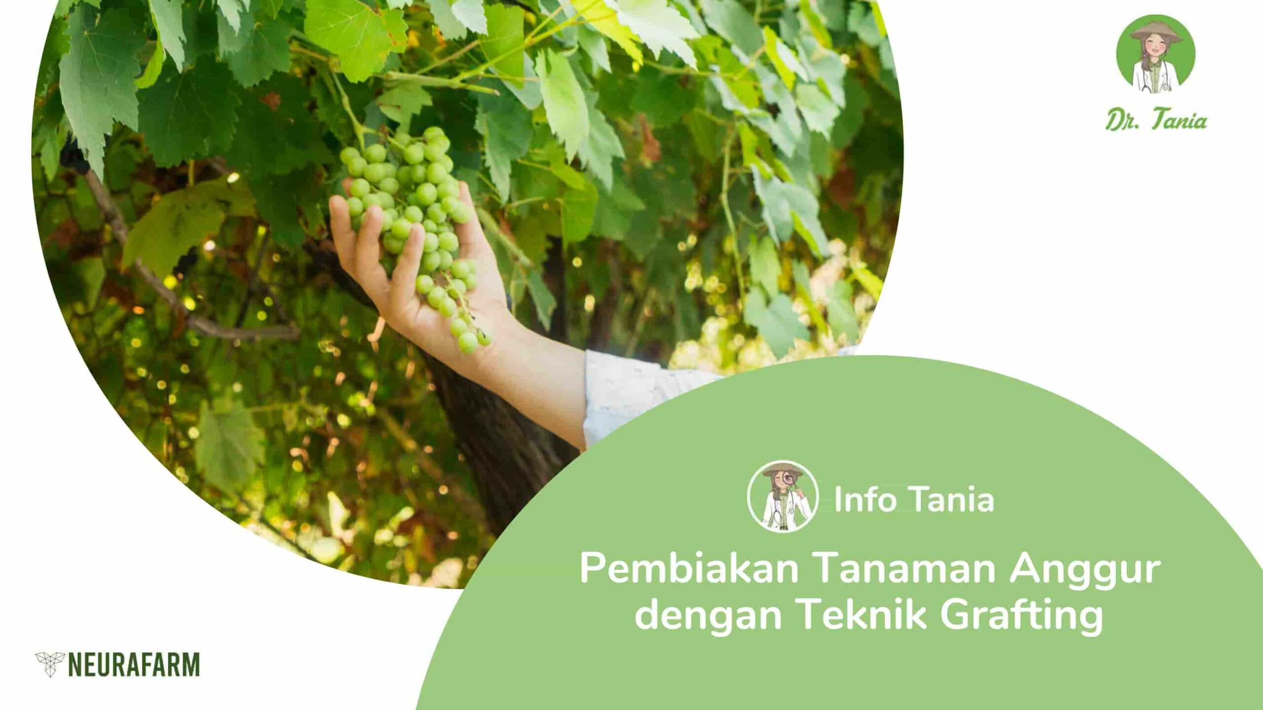 10 Macam Teknik Grafting Tanaman untuk Budidaya yang Sukses