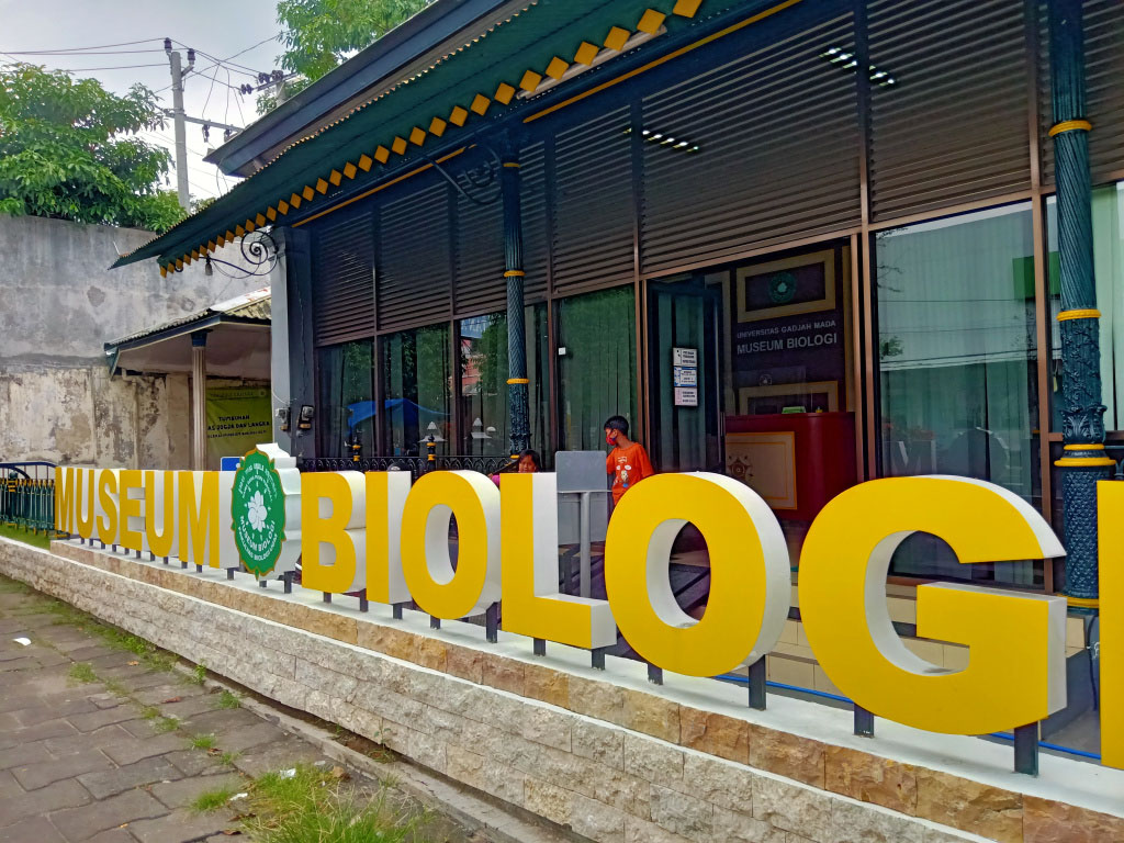 10 Jenis Tumbuhan di Museum Biologi: Menggali Pengetahuan Alam