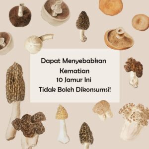 10 Jenis Jamur yang Bisa Dimakan dan Tidak Bisa Dimakan: Panduan Lengkap