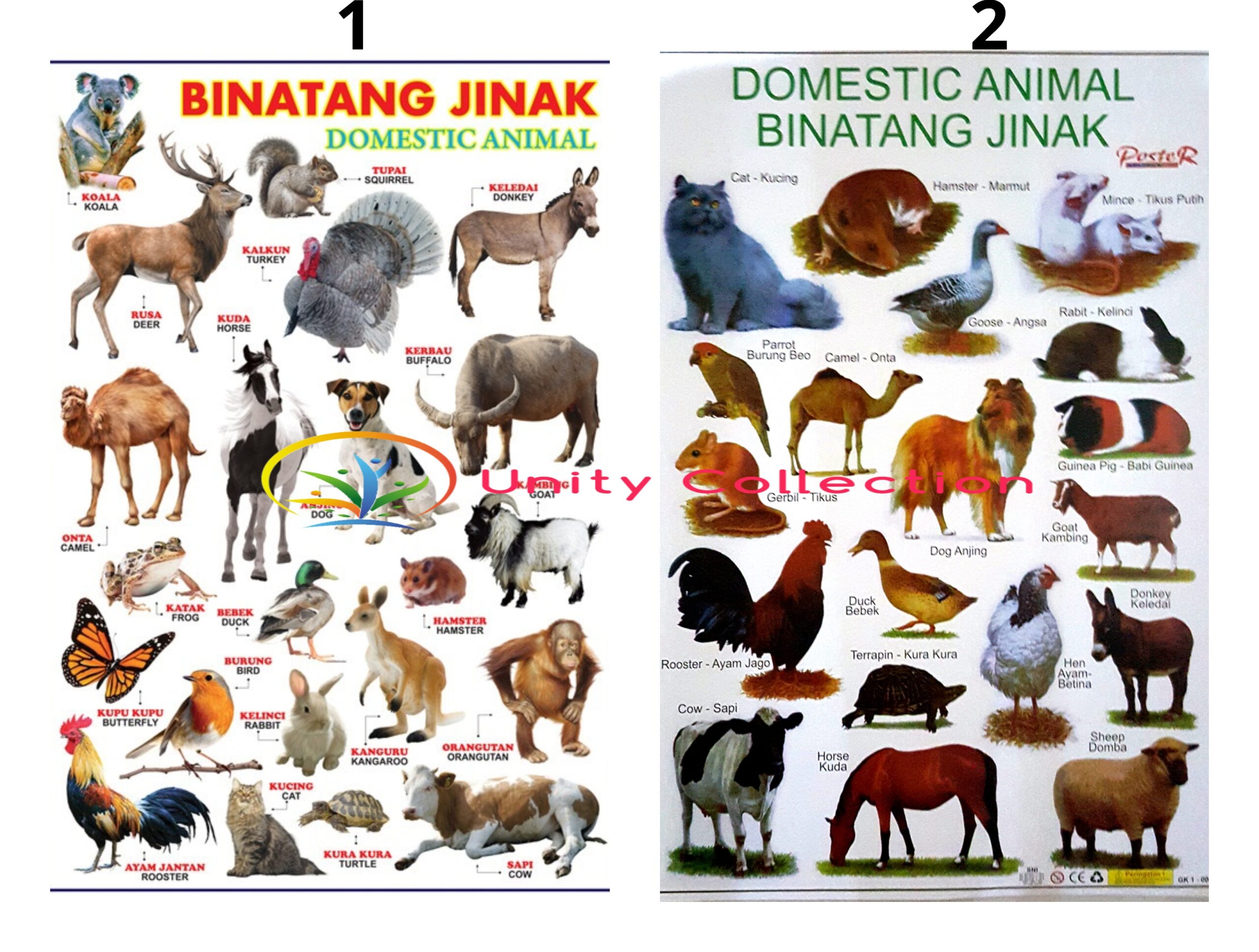 10 Jenis Binatang Jinak dan Penjelasannya: Sahabat Sehari-hari