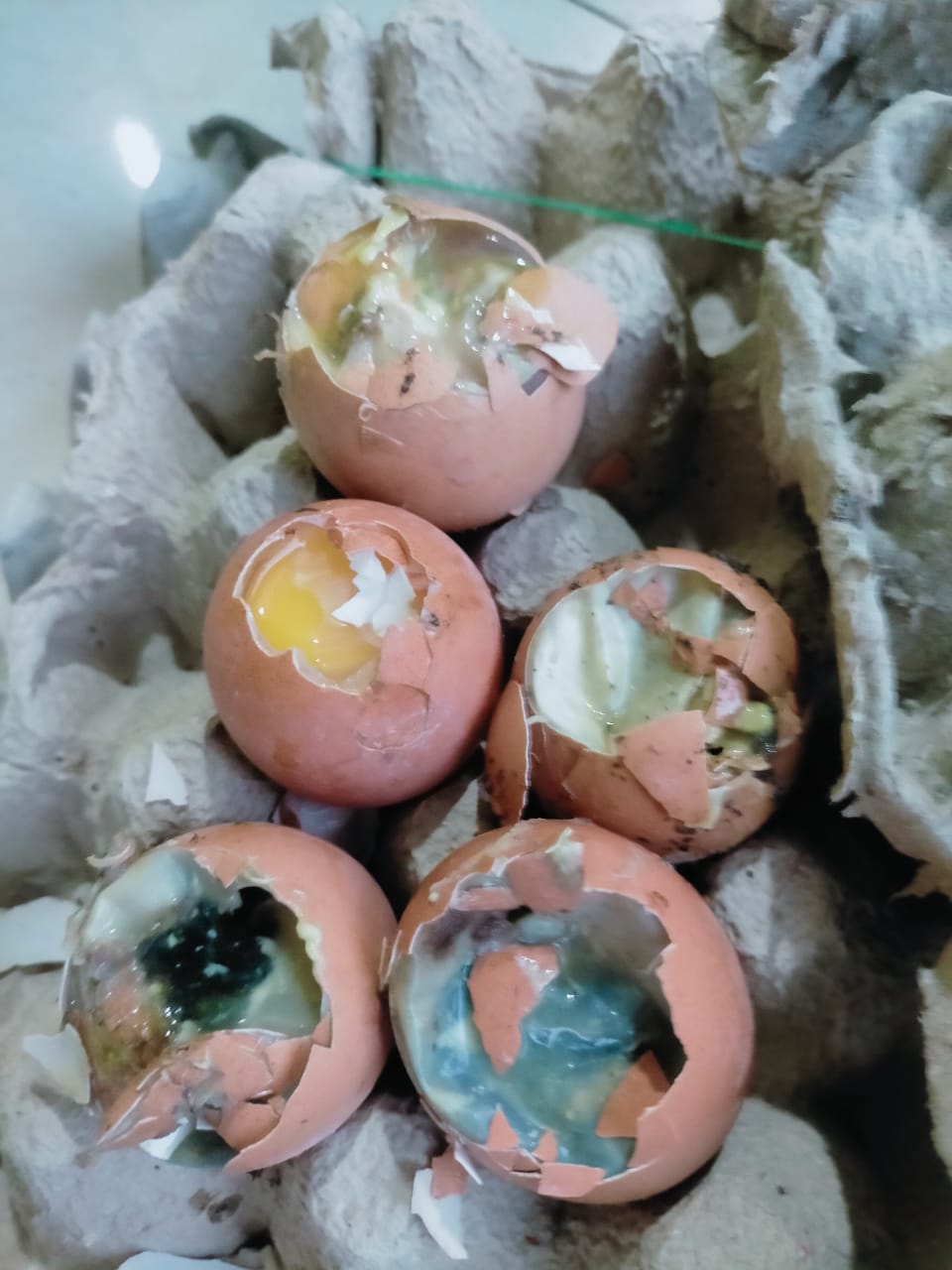 Arti Mimpi Telur Busuk Menurut Islam