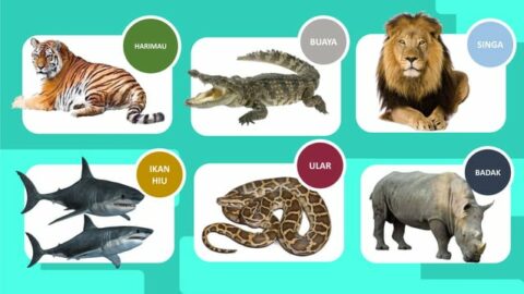 10 Jenis Binatang Buas Beserta Penjelasannya yang Harus Diketahui