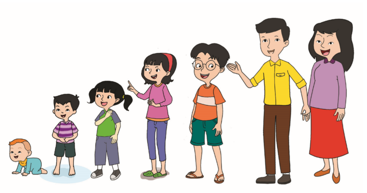 10 Macam Contoh dari Fisik Teman: Mengenali Karakteristik Tubuh dari ...