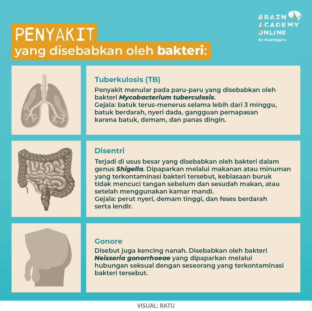 10 Jenis Penyakit yang Disebabkan oleh Bakteri: Pencegahan yang Penting