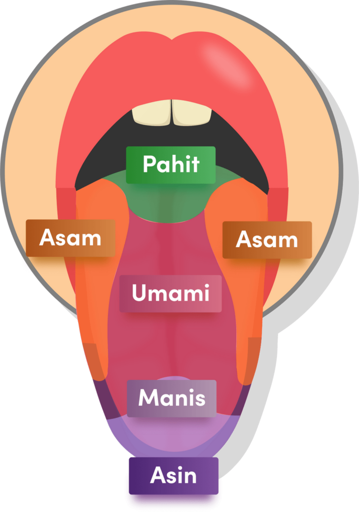 4 Tipe Papila Lidah dan Letaknya: Memahami Fungsi dan Peran dalam Indra ...